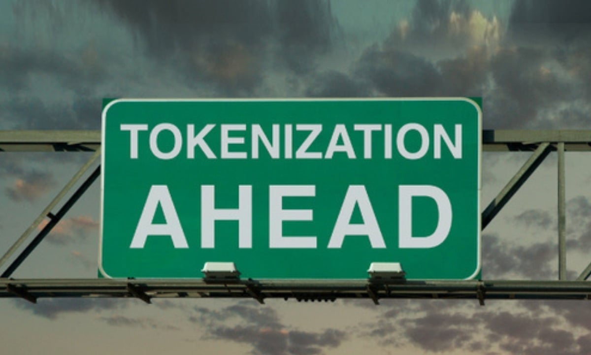 Tokenization for Development